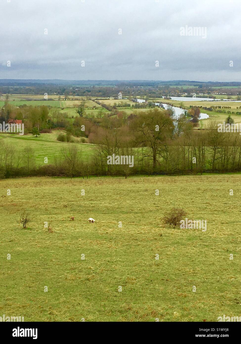 Rainy walks in the countryside Stock Photo - Alamy
