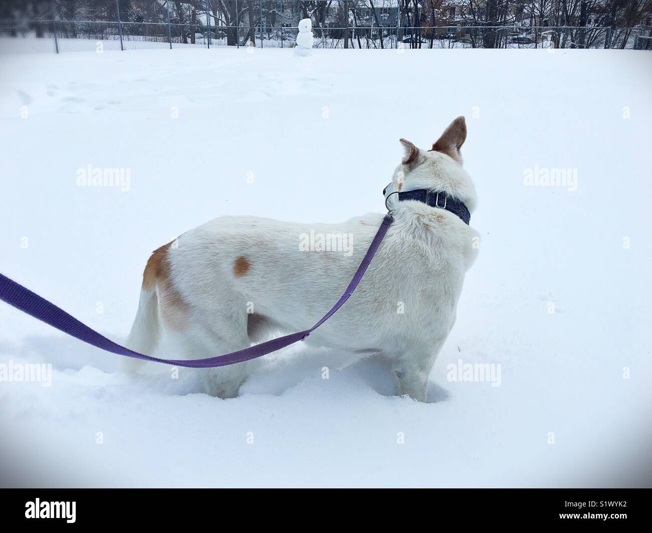Standing and walking hi-res stock photography and images - Alamy