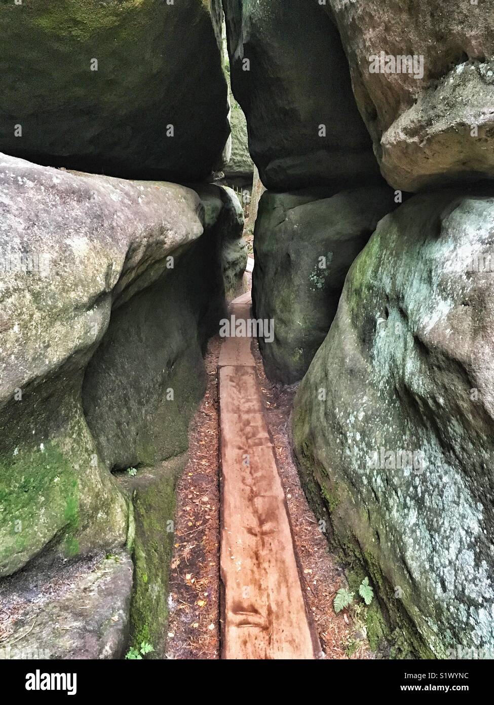Path in So called Bledne Skaly (Errant Rocks) in Table mountains ...