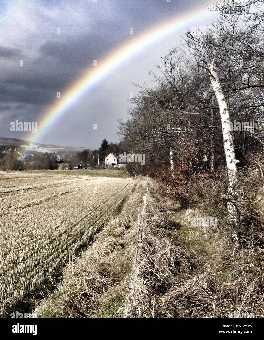 Rainbow in a corn field hi-res stock photography and images - Alamy