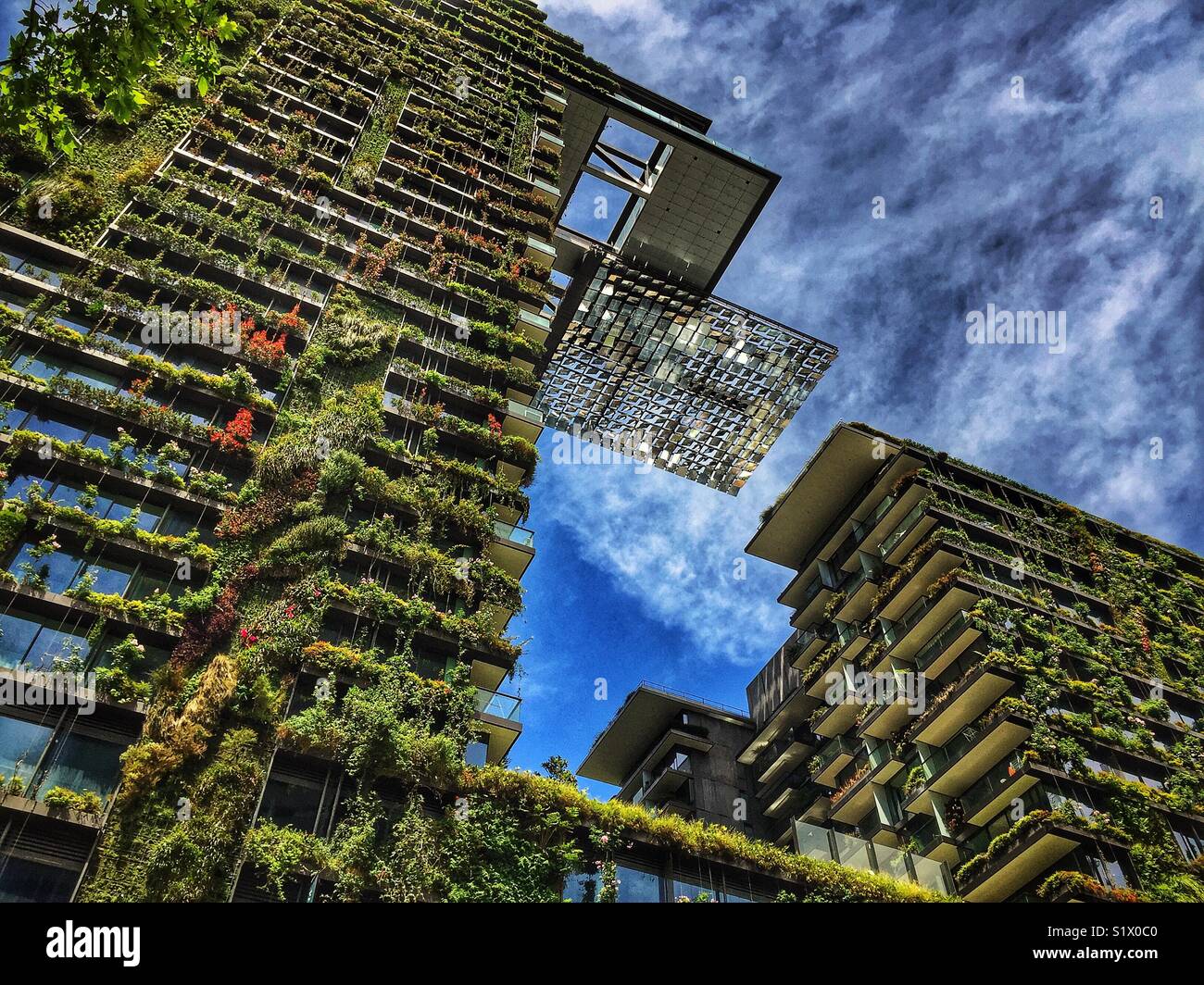 Urban renewal australia hi-res stock photography and images - Alamy