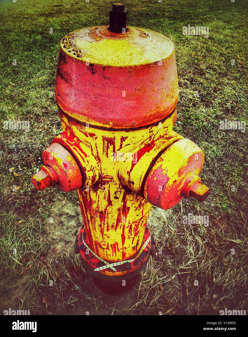 Close up yellow fire hydrant hi-res stock photography and images - Alamy