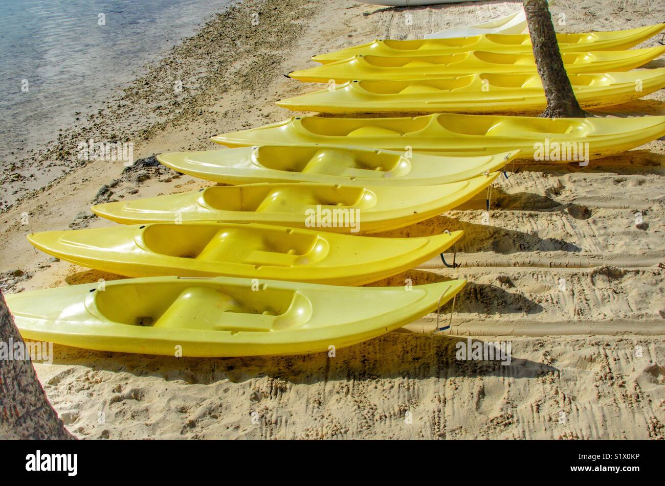 Kayaks on the beach at a resort in Bora Bora Stock Photo - Alamy