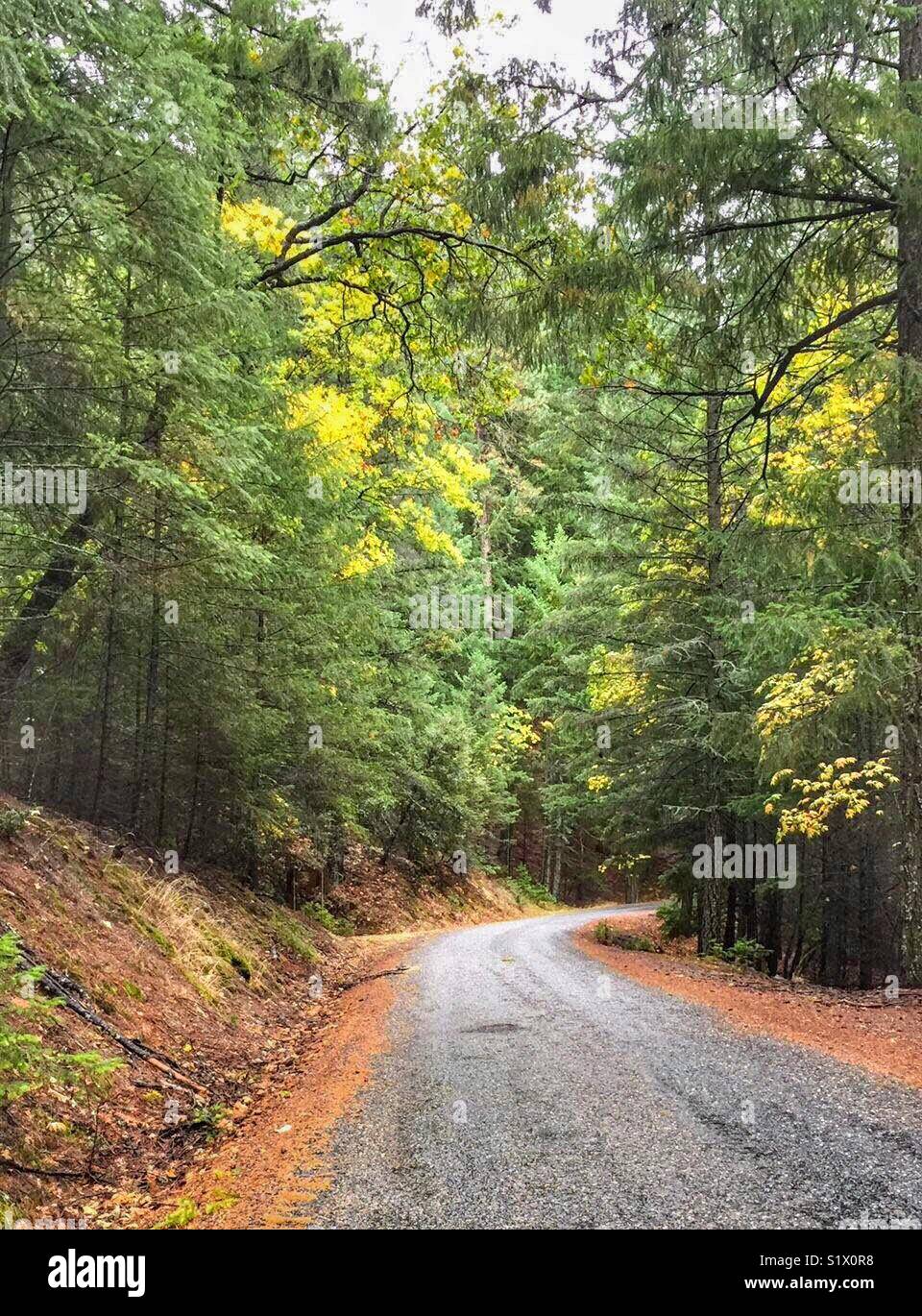 One lane road hi-res stock photography and images - Alamy