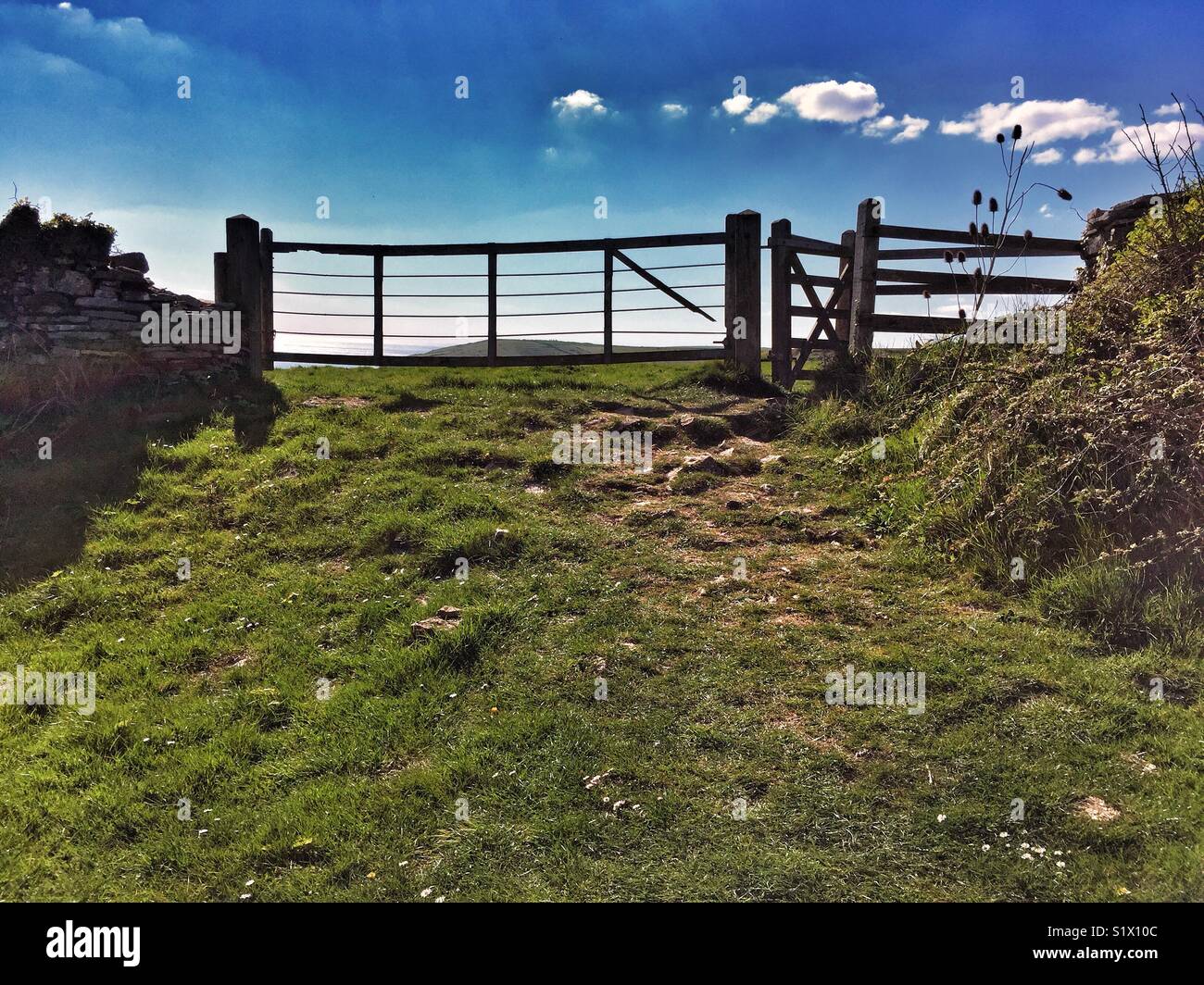 Country Gate Farmland Stock Photo - Alamy