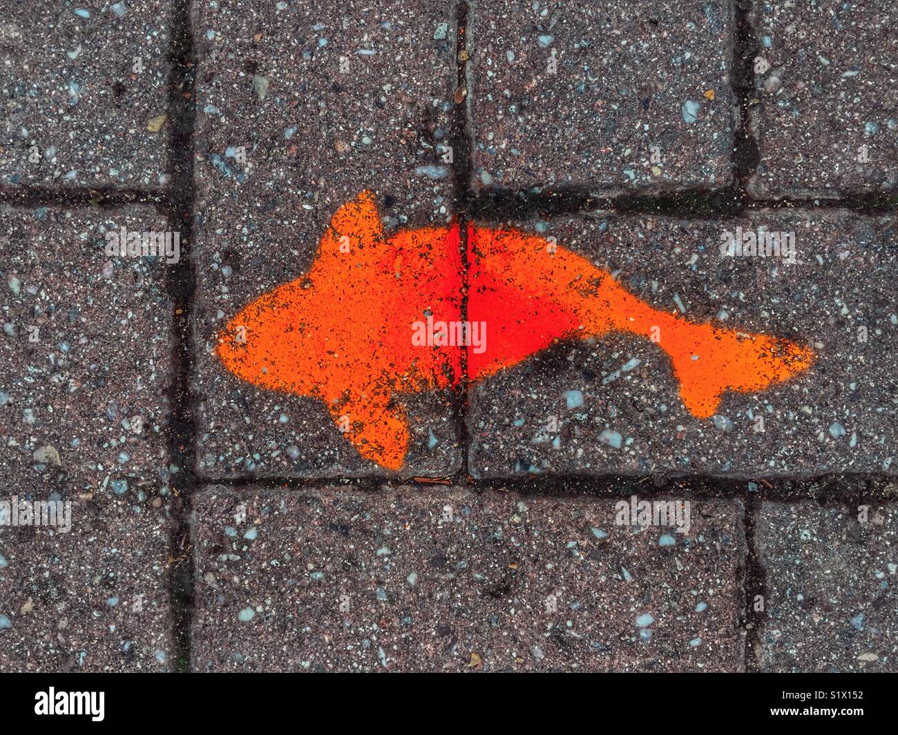 Unusual Street Art Orange Fish Stock Photo - Alamy