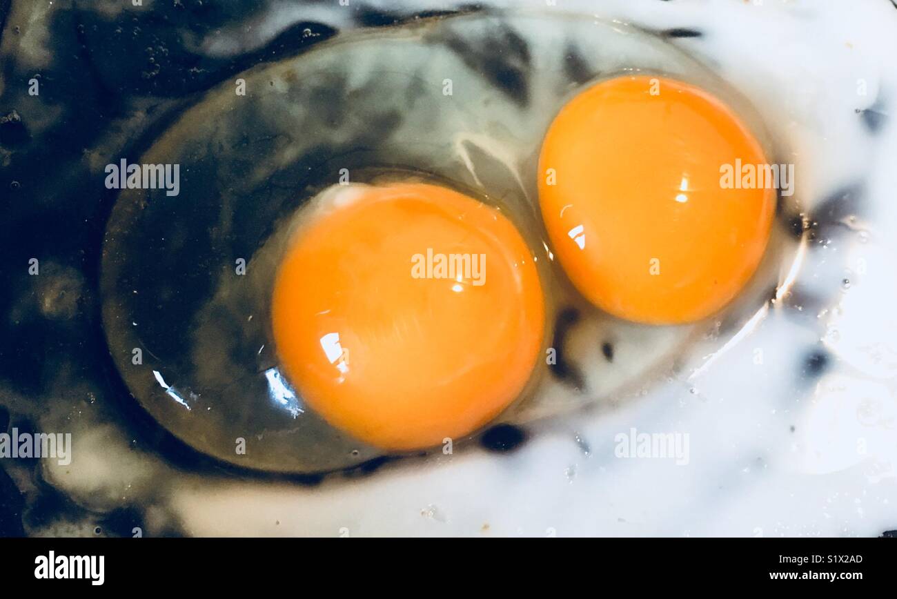 Double yolk egg hi-res stock photography and images - Alamy