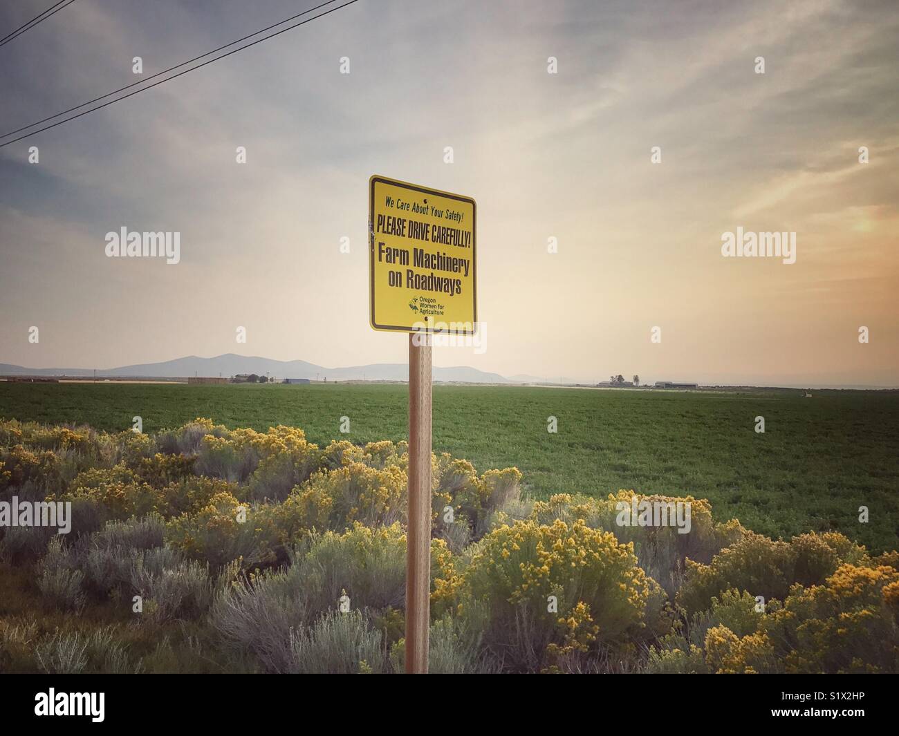 Funny road signs hi-res stock photography and images - Alamy