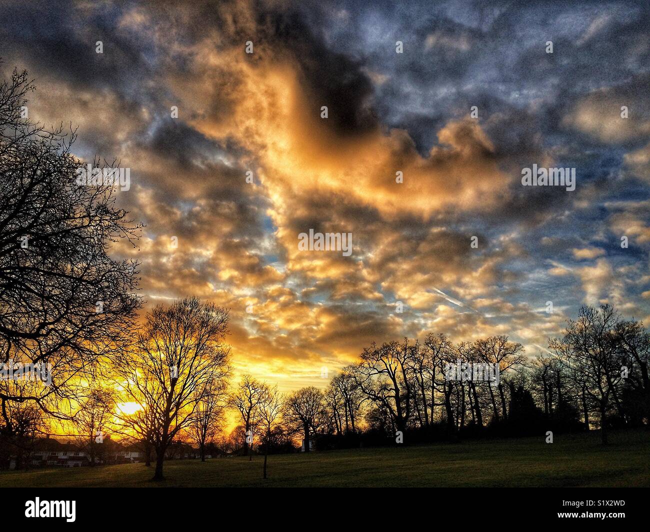 Trees and sky Stock Photo - Alamy