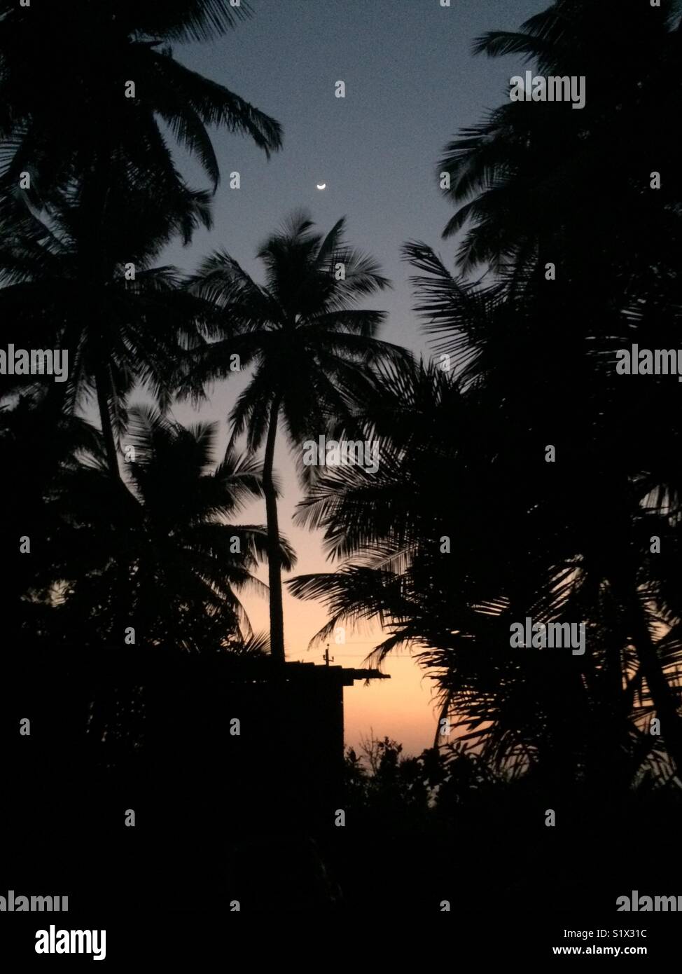 Sunset in India Stock Photo - Alamy
