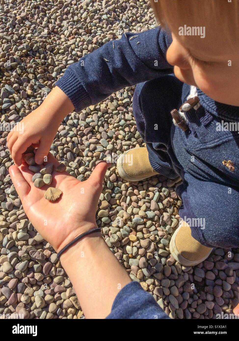 Toddler boy playing with rocks in a mock fossil pit Stock Photo - Alamy