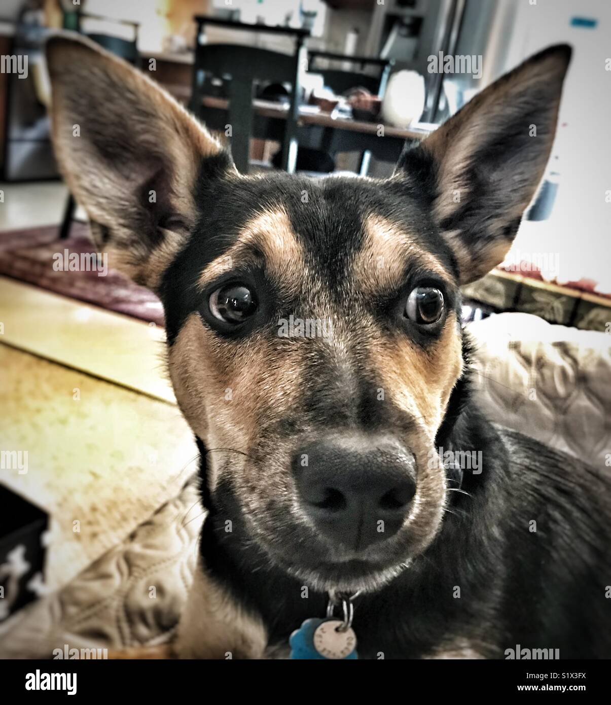 Concerned look hi-res stock photography and images - Alamy