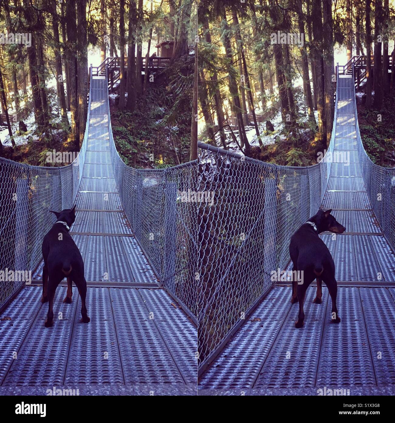 Double dose hi-res stock photography and images - Alamy