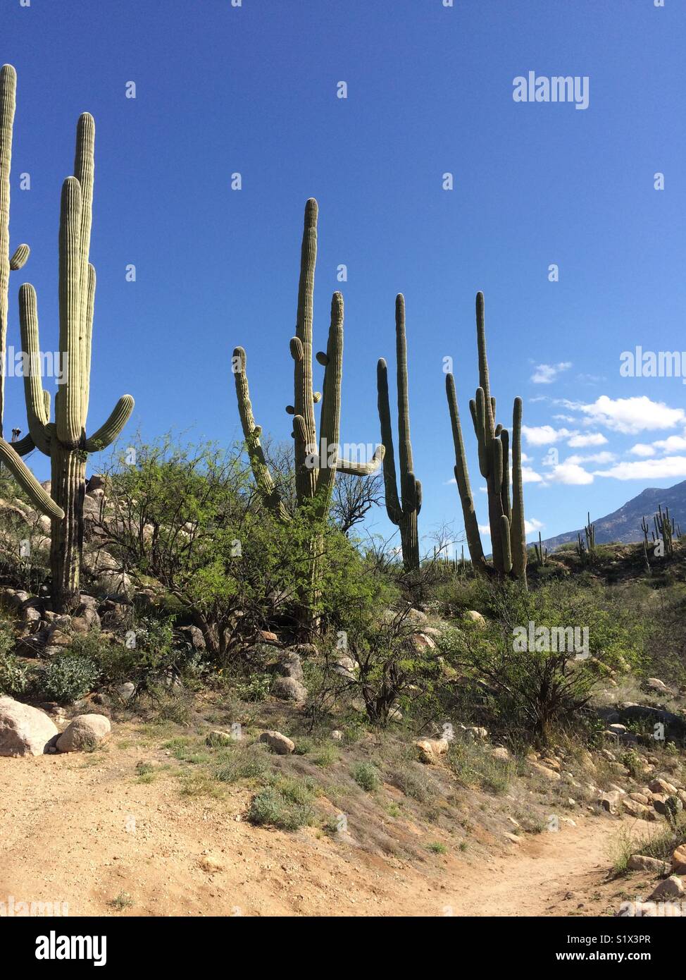 Sentries hi-res stock photography and images - Alamy