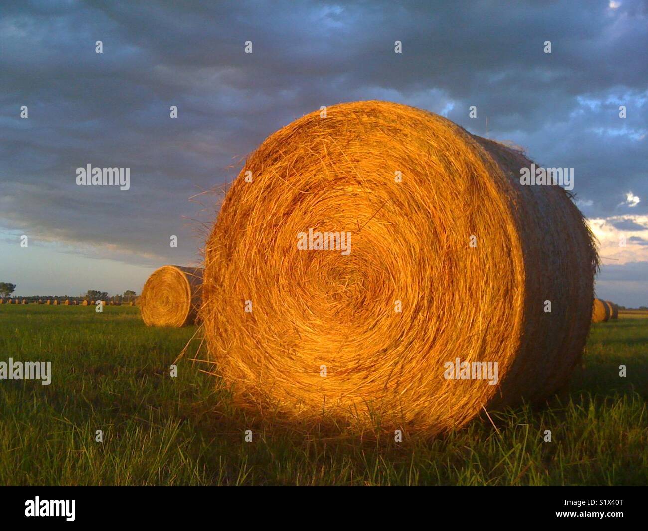 Bundle of hay hi-res stock photography and images - Alamy