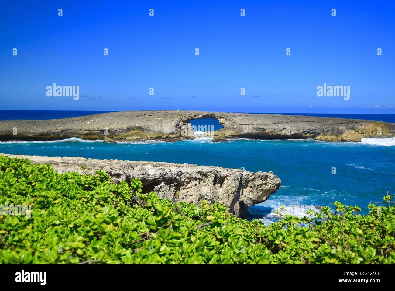 The moo hi-res stock photography and images - Alamy