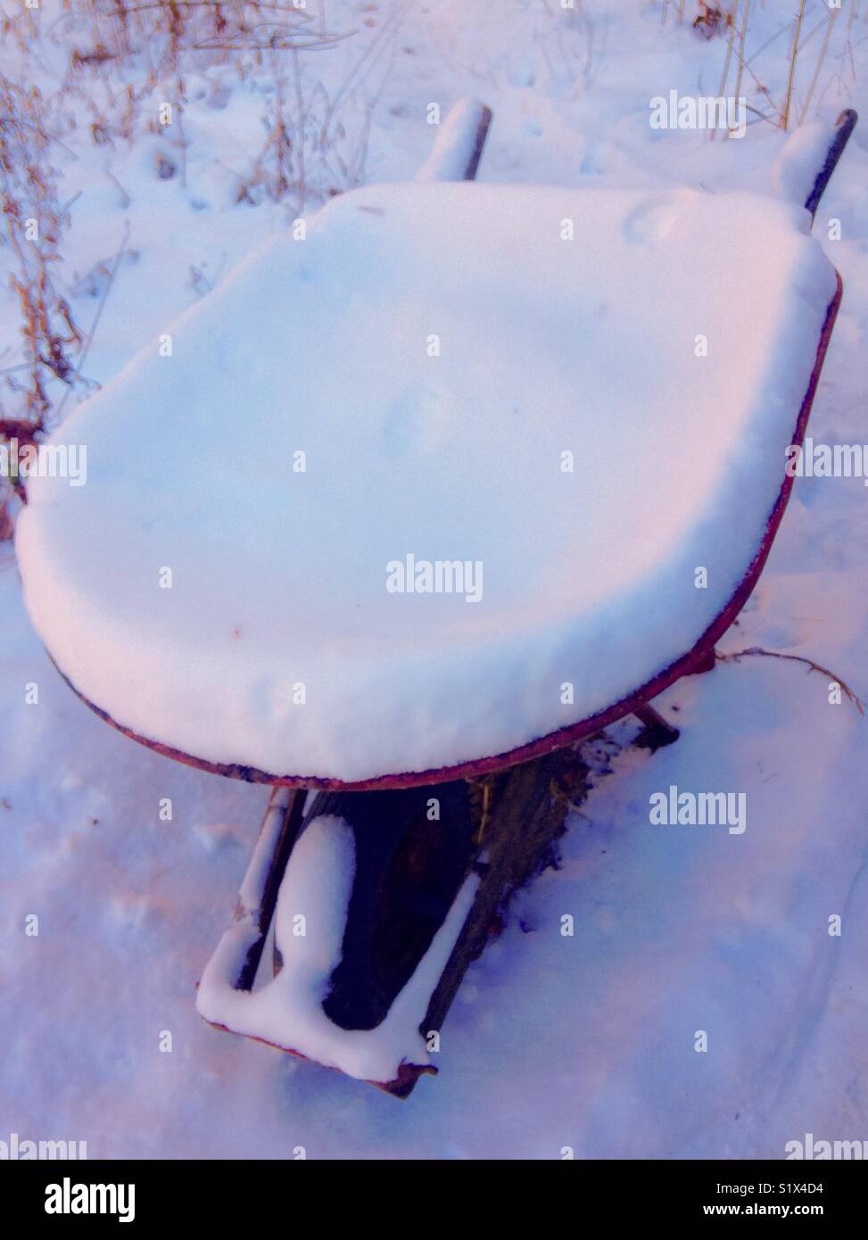 Snow filled wheelbarrow after Southern snowfall Stock Photo - Alamy