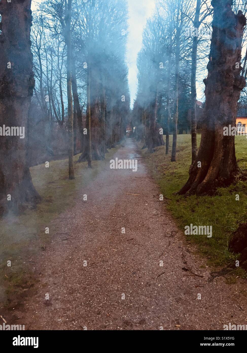 The dangerous pathway Stock Photo - Alamy