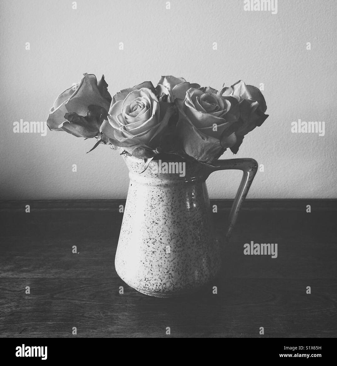 Roses in a pitcher in black and white Stock Photo - Alamy