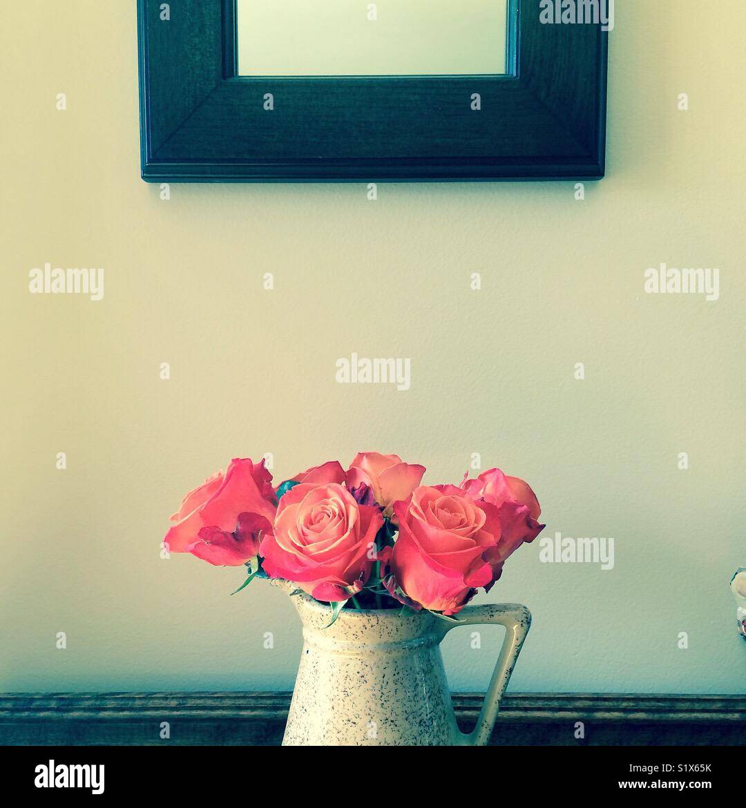 Roses in a pitcher Stock Photo - Alamy