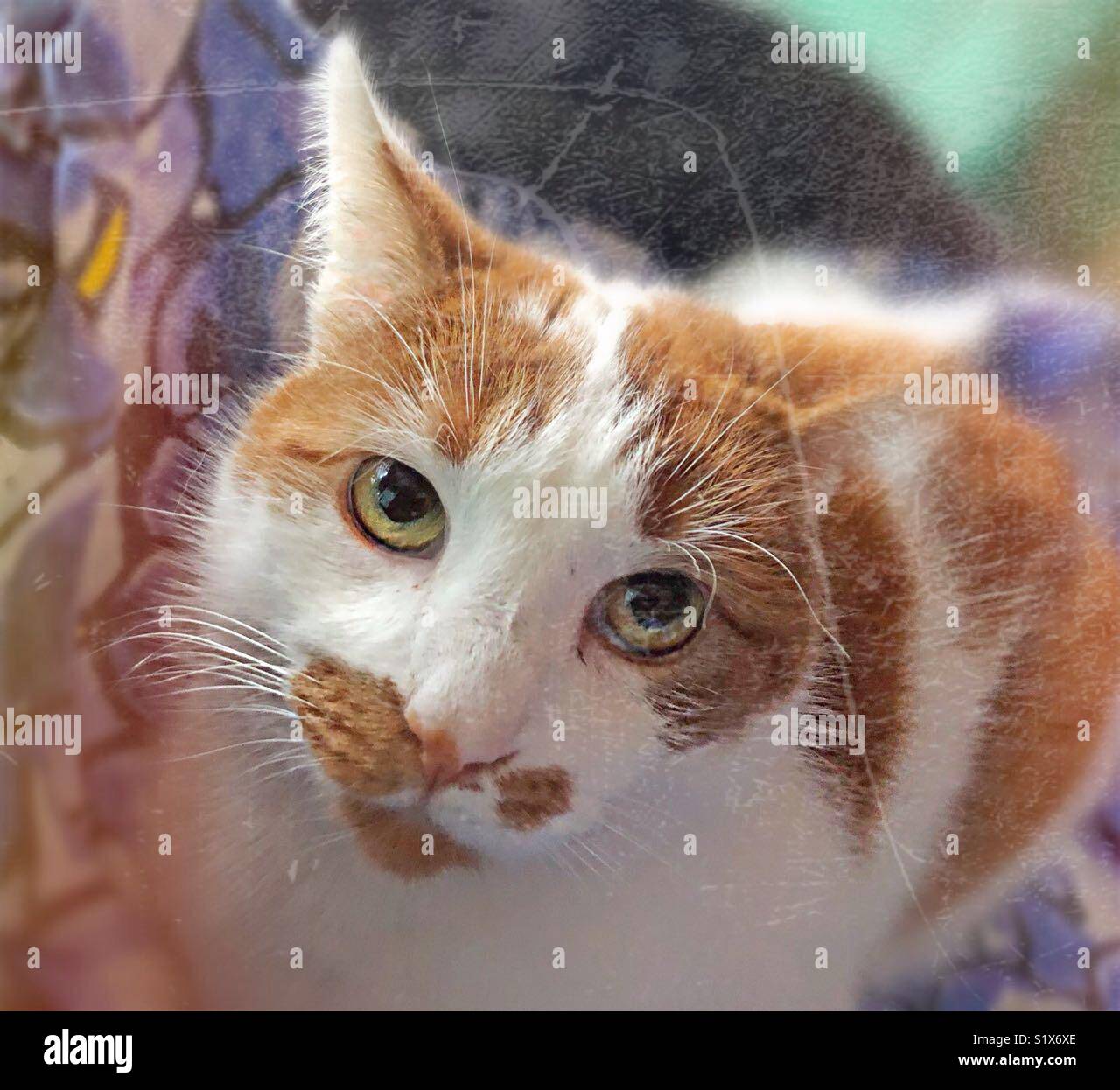 I am looking at you hi-res stock photography and images - Alamy