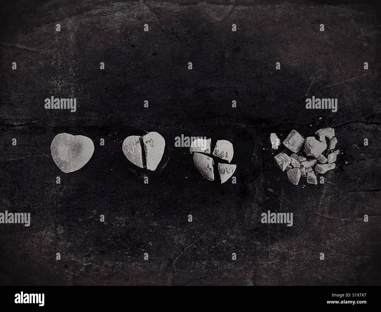 Evolution stages hi-res stock photography and images - Alamy