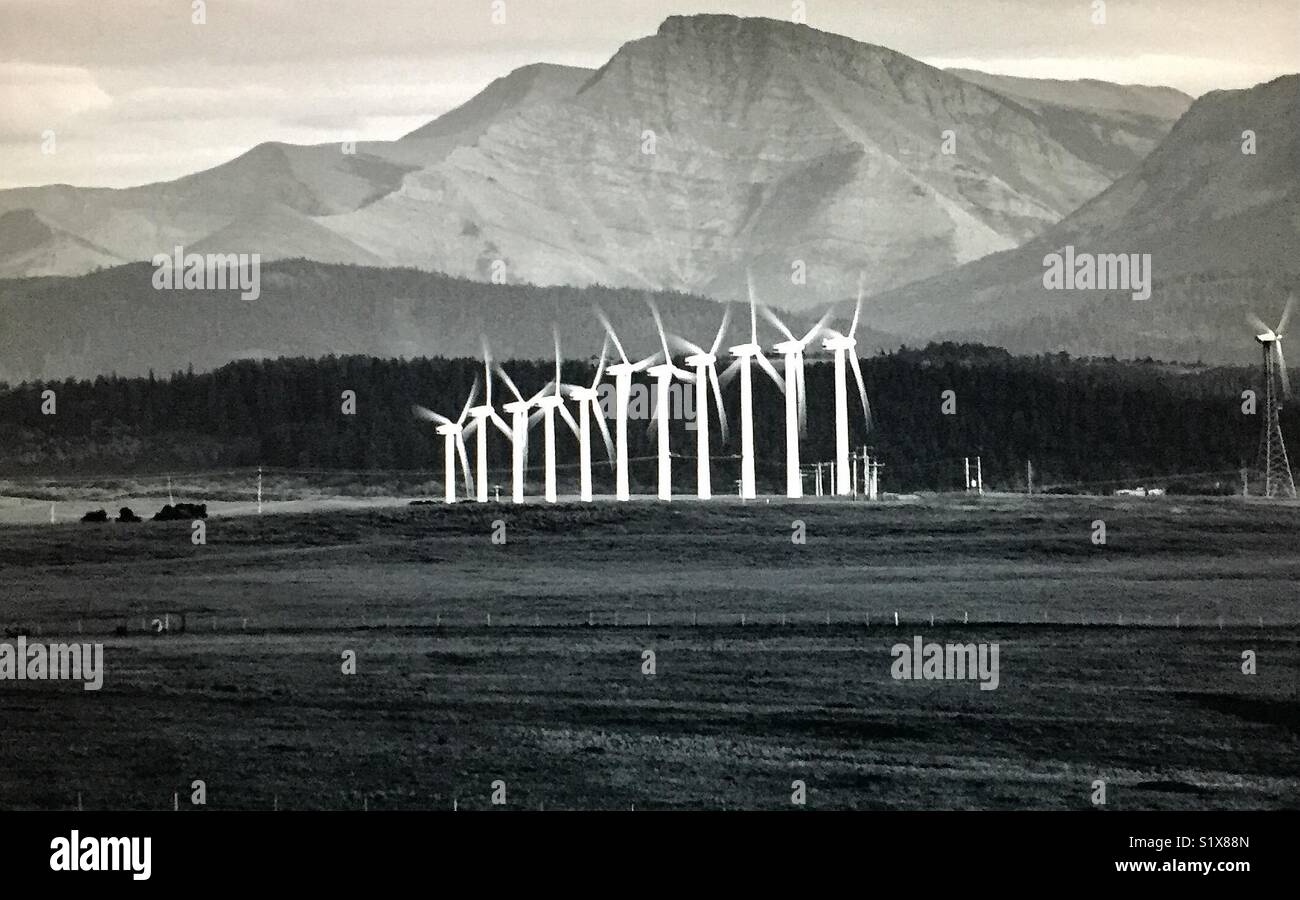 Wind farm in alberta hi-res stock photography and images - Alamy