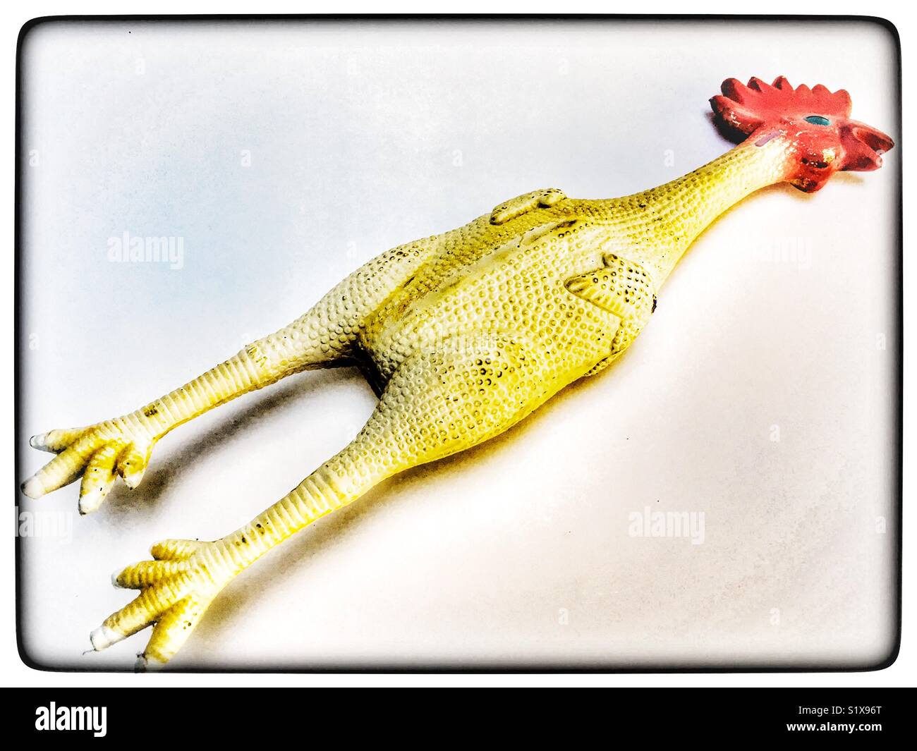 Plastic chicken dog toy Stock Photo - Alamy