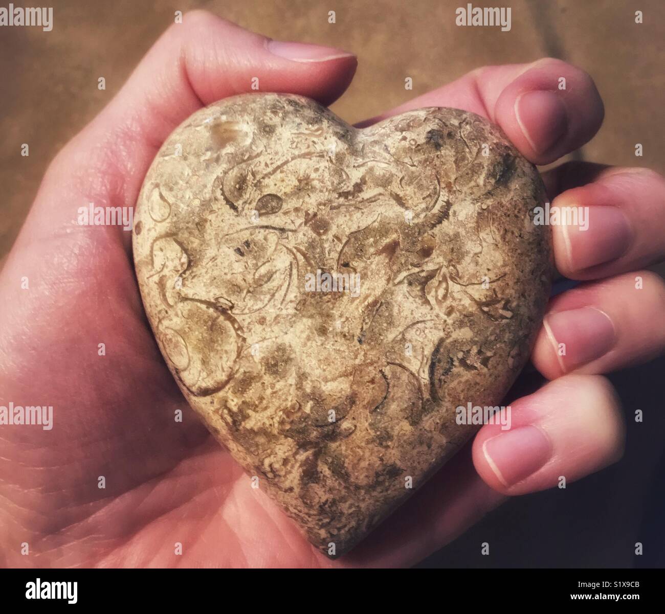 Hand holding stone shaped like heart Stock Photo - Alamy