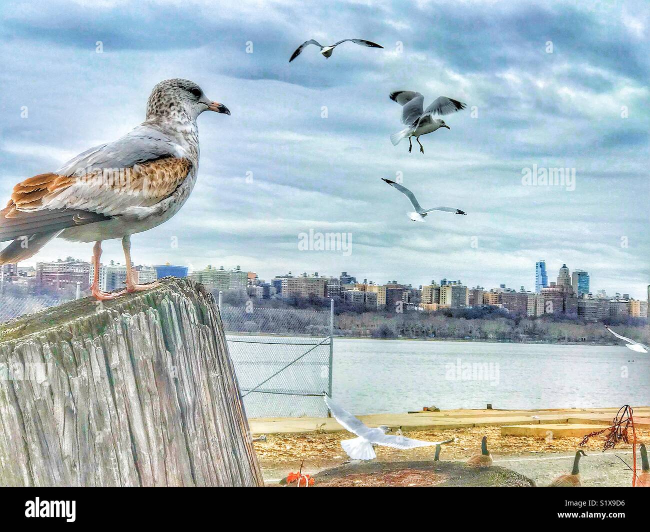 Uptown riverside hi-res stock photography and images - Alamy