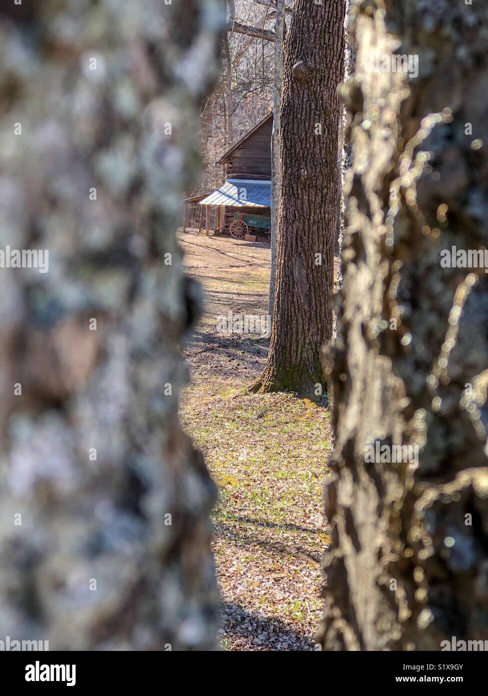 Wagon Trees High Resolution Stock Photography and Images - Alamy