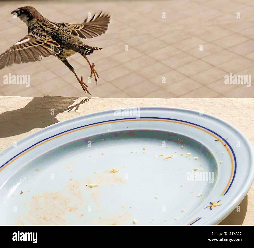 Very very clever hi-res stock photography and images - Alamy