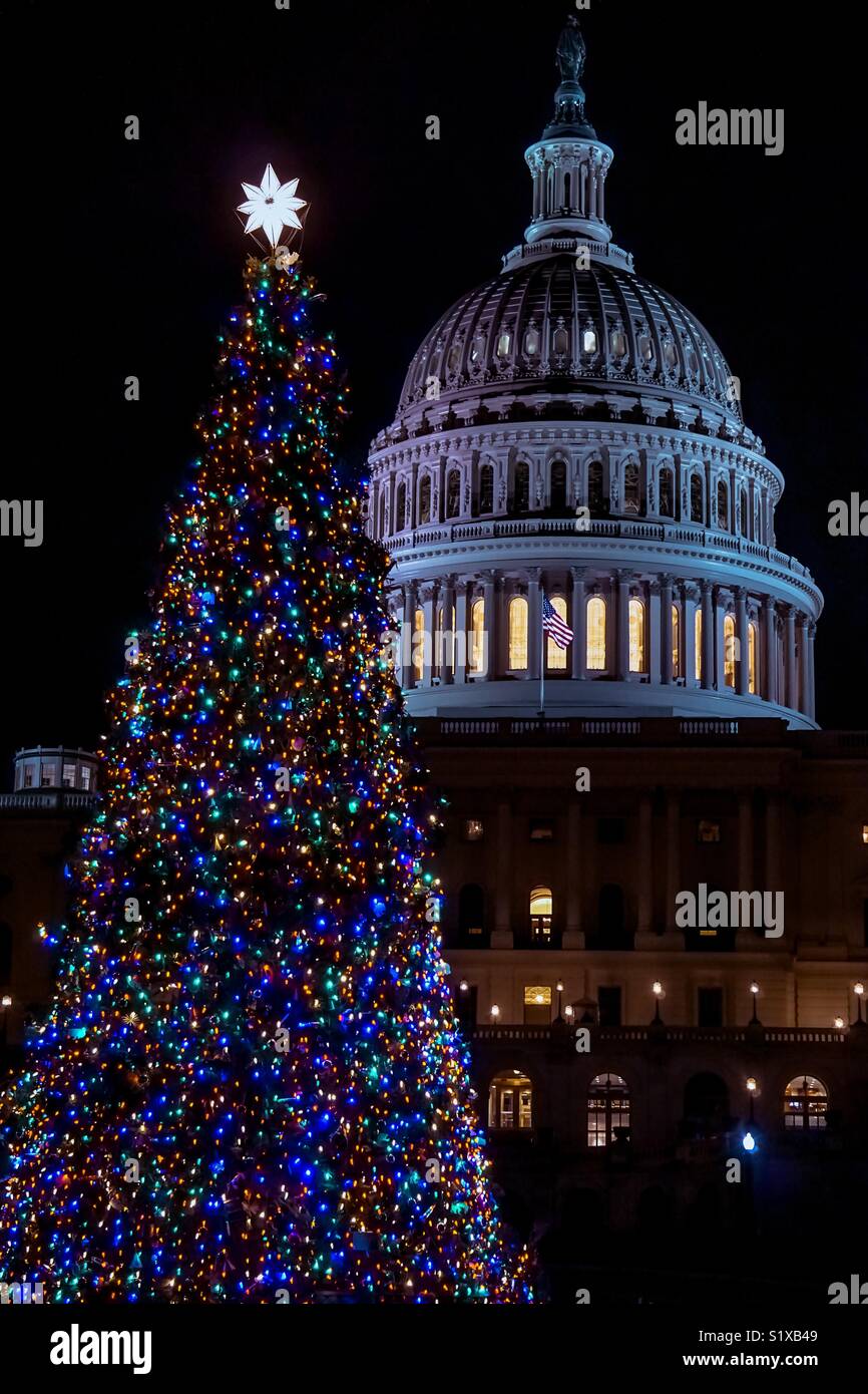 Capital Christmas tree Stock Photo - Alamy