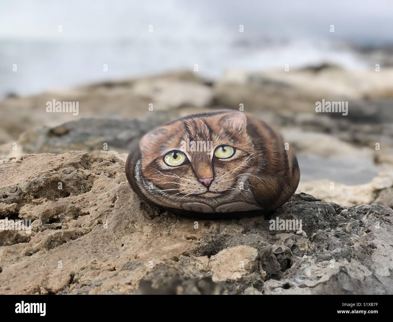 Stone cat on the rocks Stock Photo - Alamy