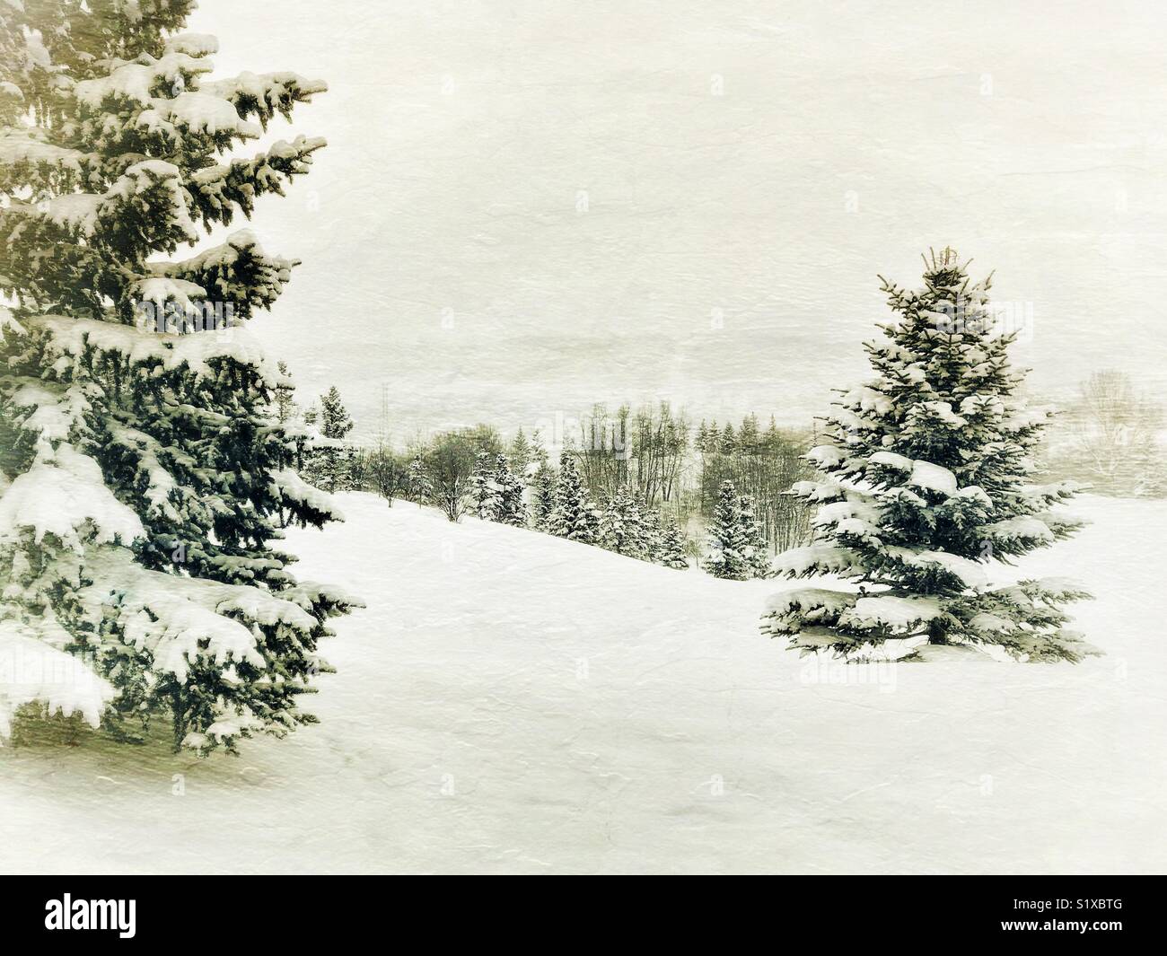 Calgary winter scene hi-res stock photography and images - Alamy