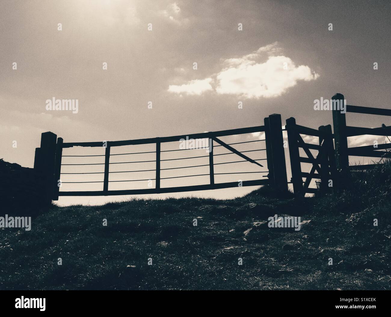 Upwards Silhouette Of A Gated Field Stock Photo - Alamy