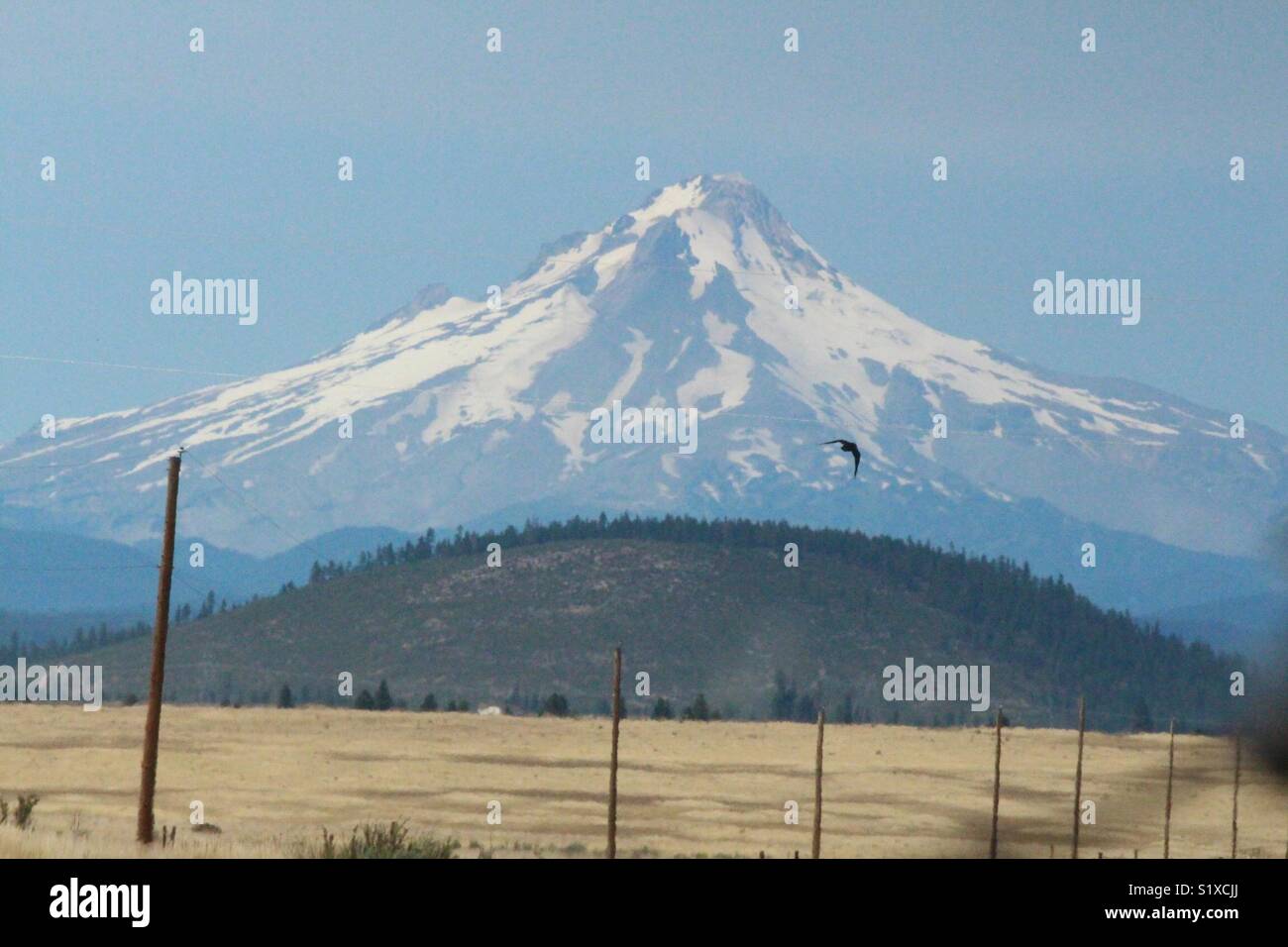 Mount hood with snow hi-res stock photography and images - Alamy