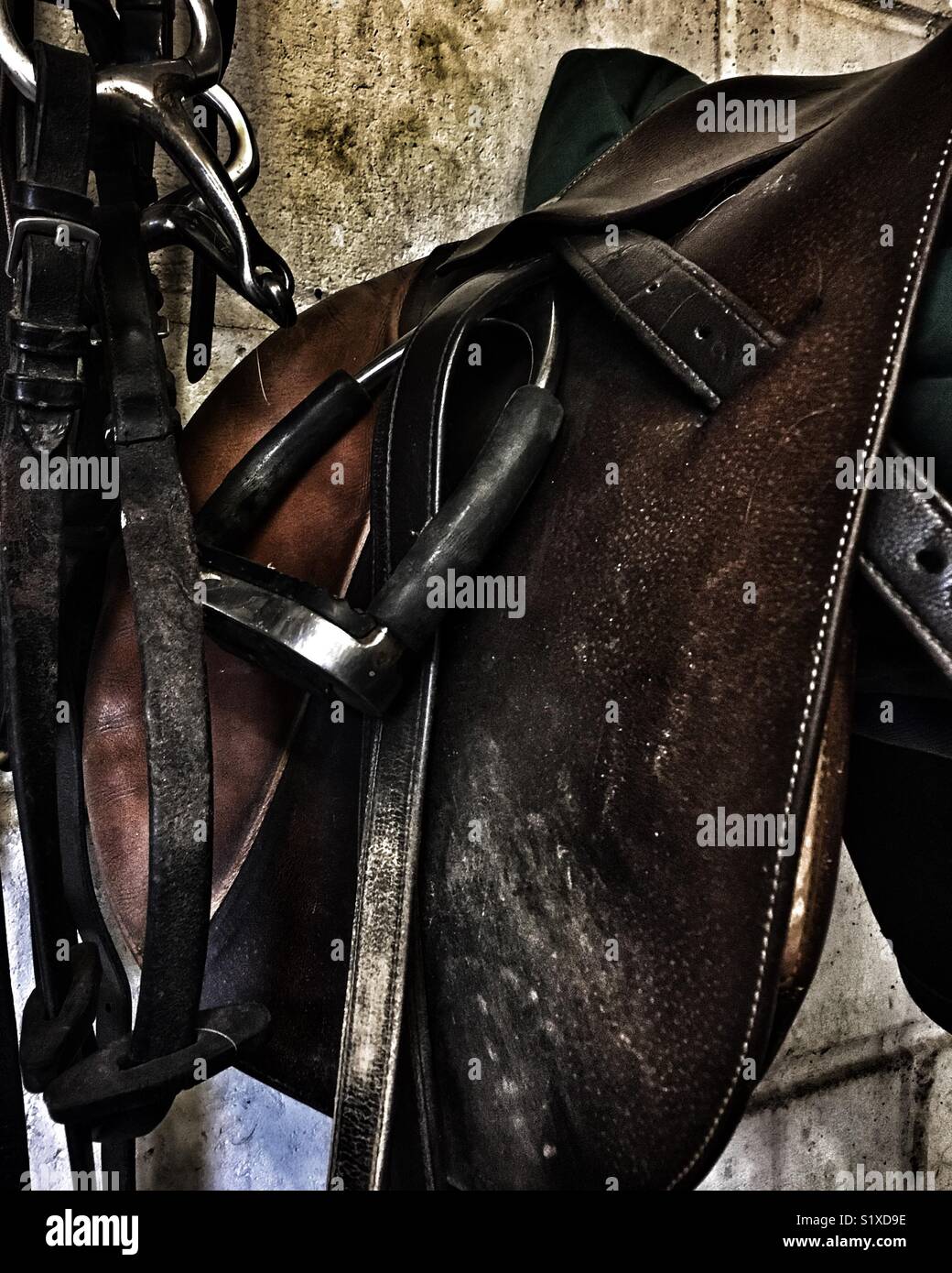 Stirrups saddle hi-res stock photography and images - Alamy