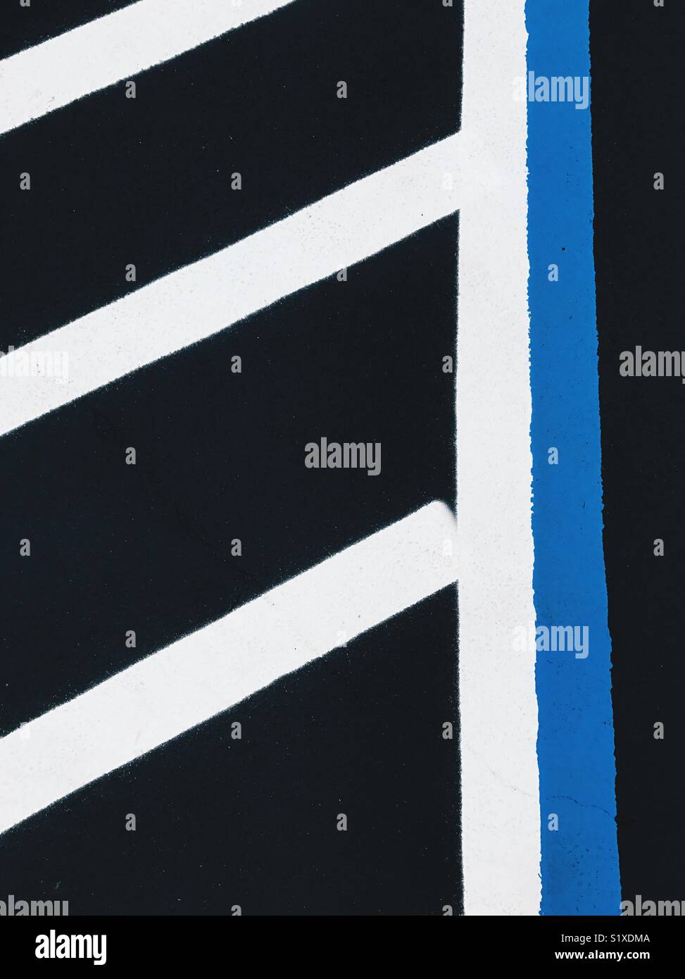 Bold painted white and blue lines on black asphalt in a parking lot ...