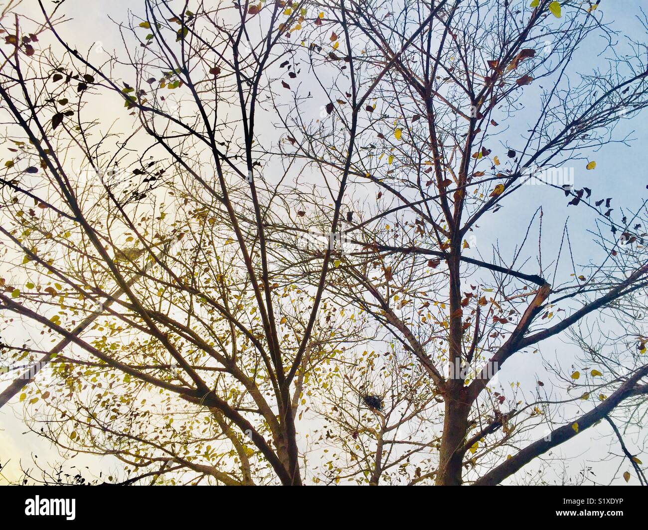 Changing the season hi-res stock photography and images - Alamy