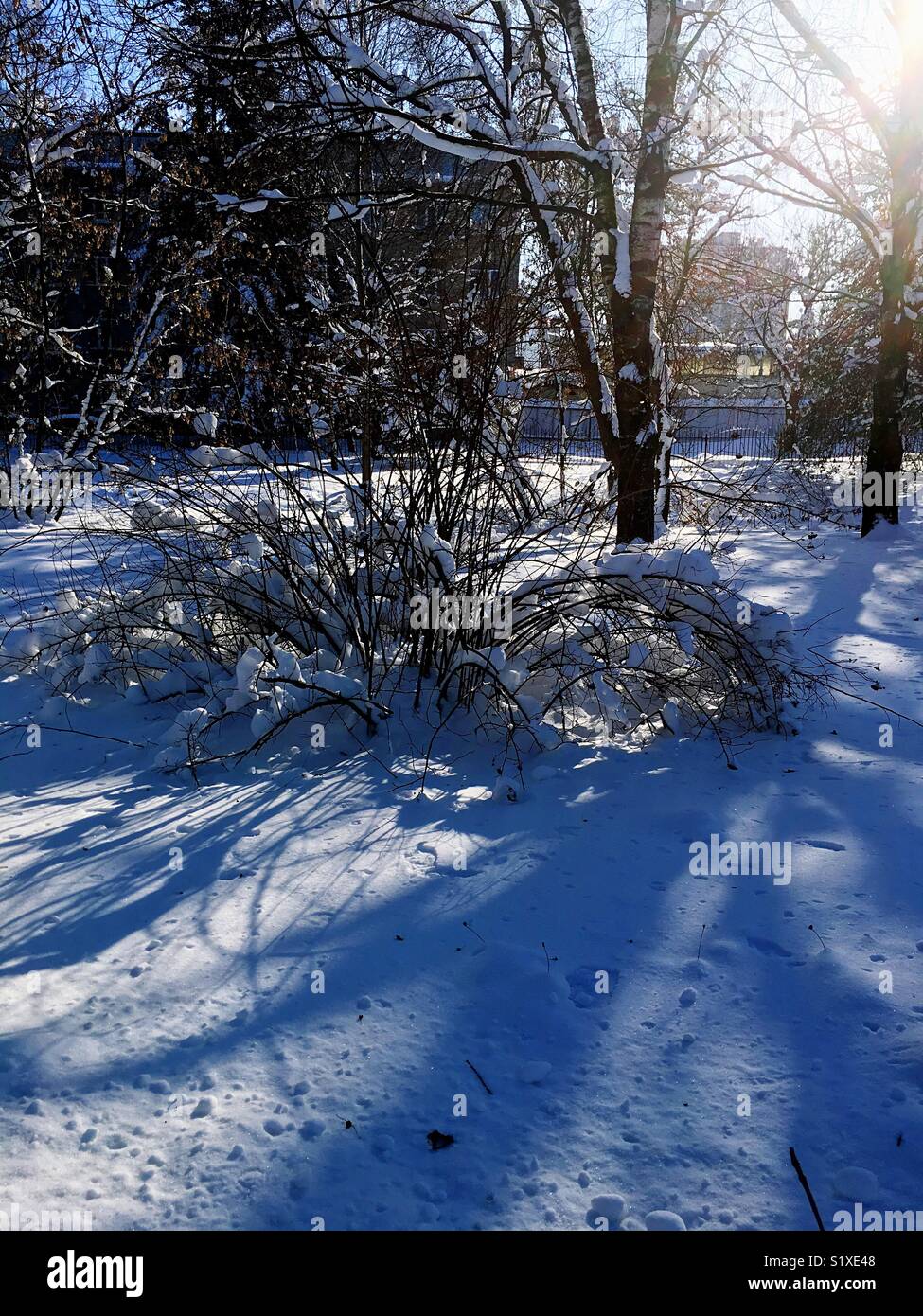sunny winter morning Stock Photo - Alamy