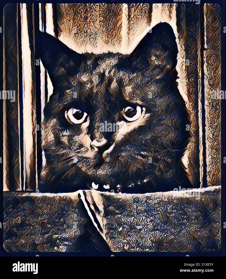 Catatonic hi-res stock photography and images - Alamy