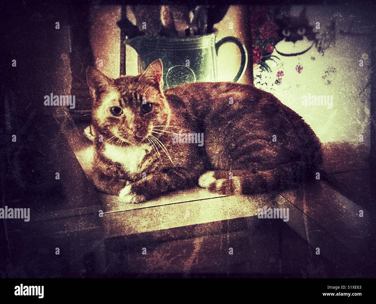 Culture counter hi-res stock photography and images - Alamy