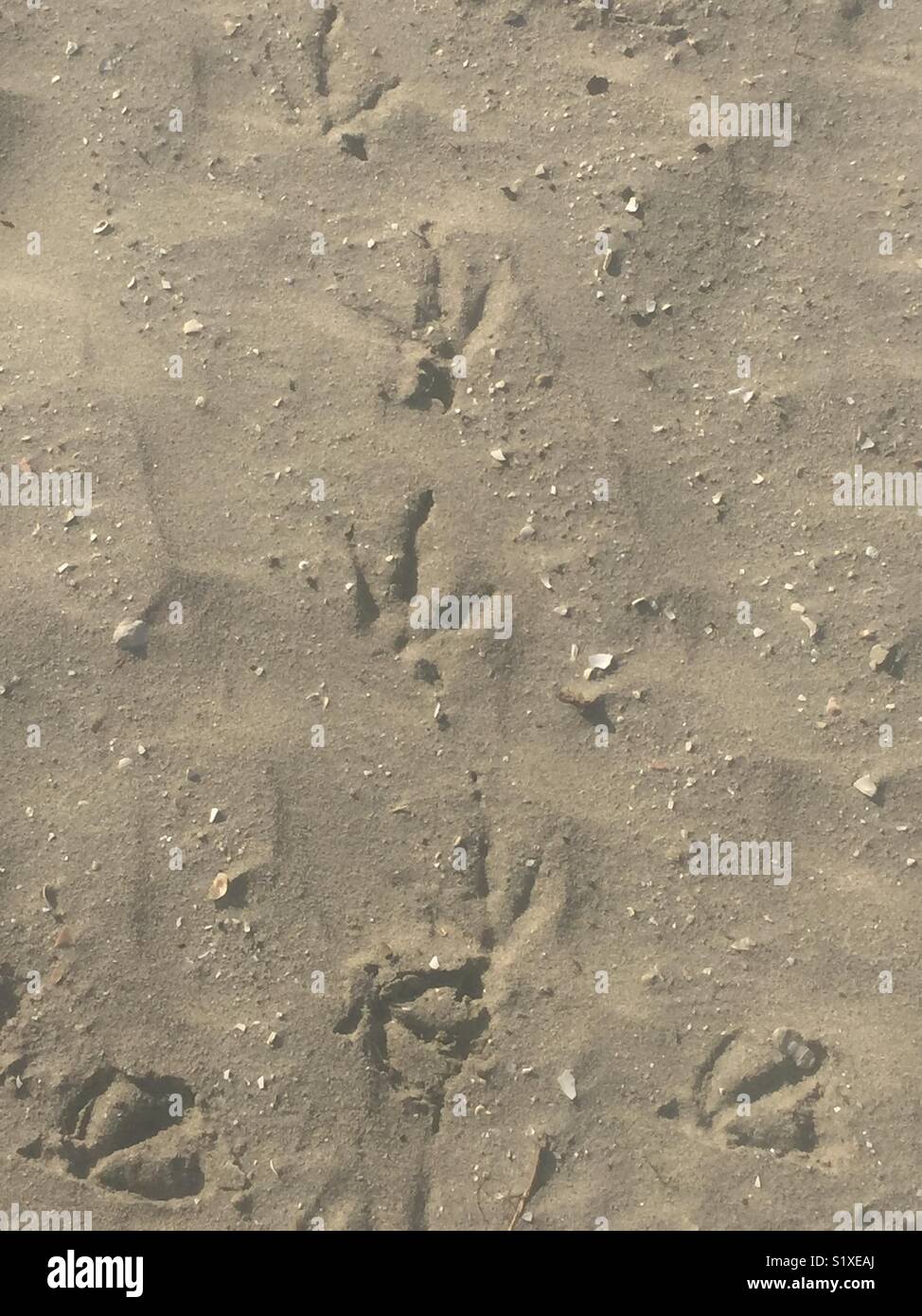 Destination unknown hi-res stock photography and images - Alamy