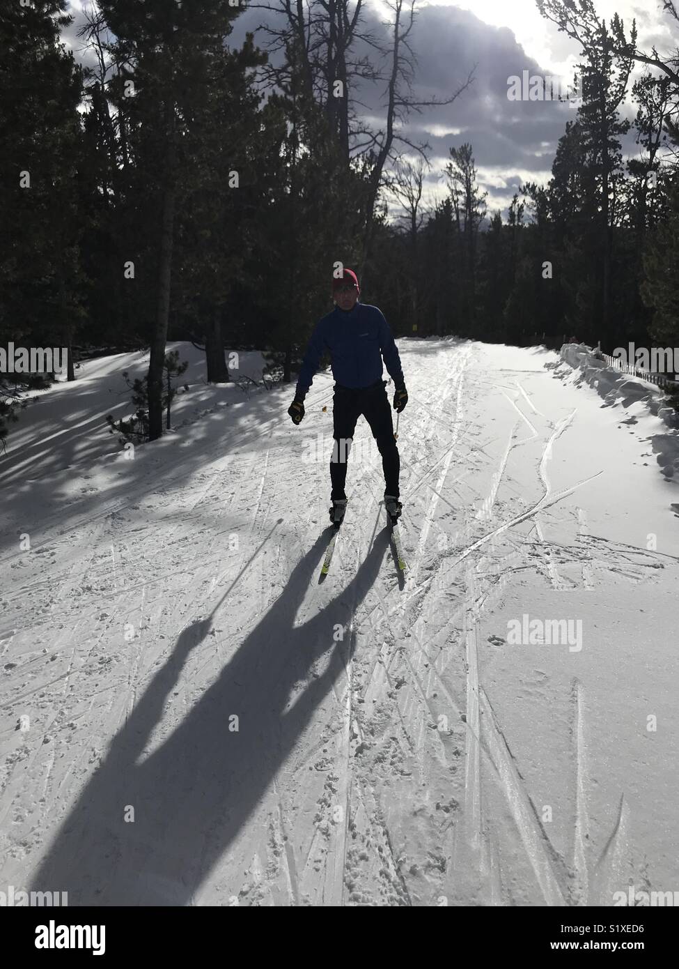Nordic skier and shadow Stock Photo - Alamy