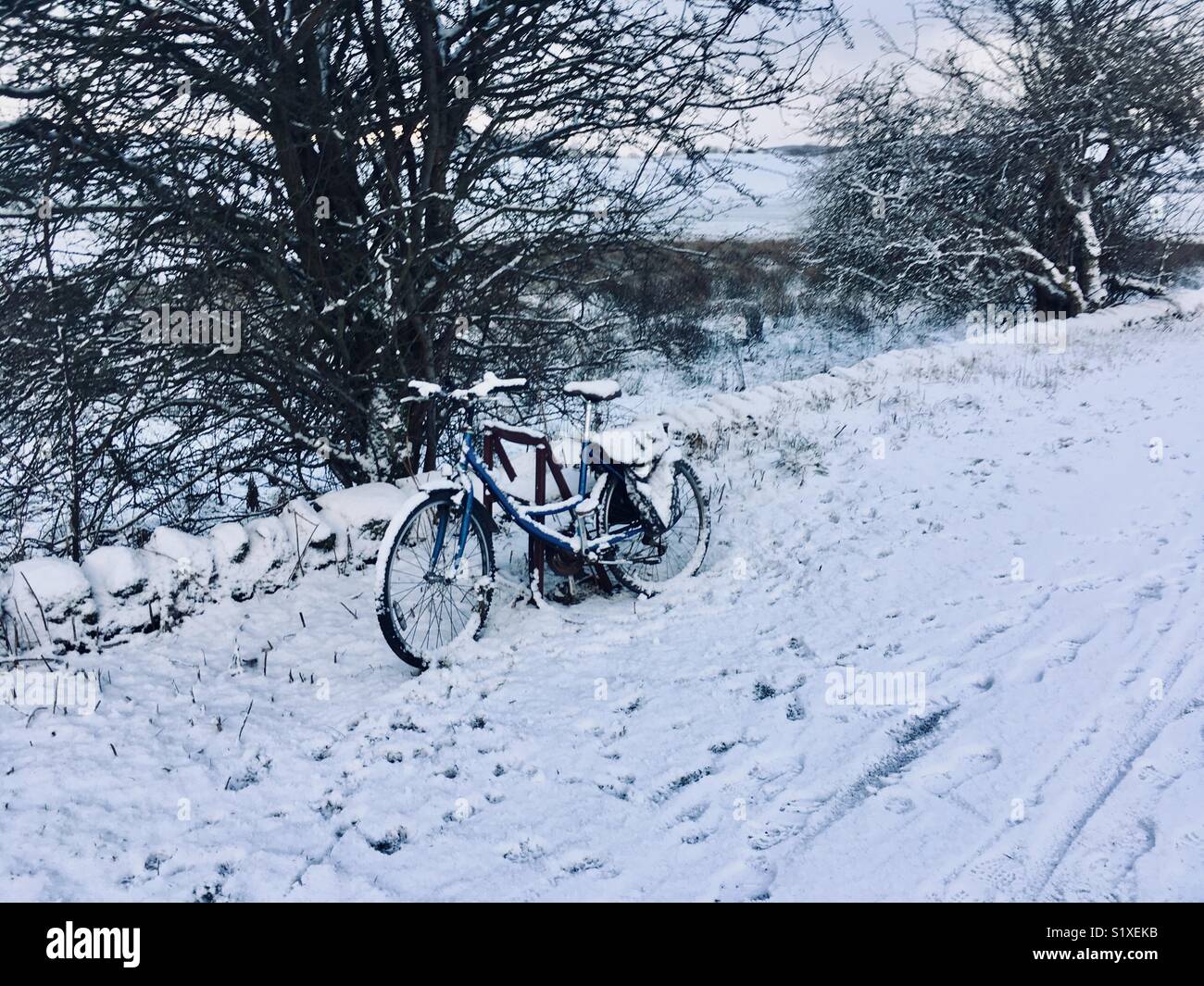 Frozen bike hi-res stock photography and images - Alamy