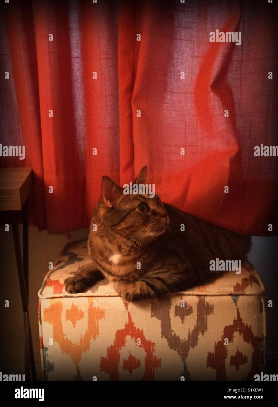 Cozy resting spot hi-res stock photography and images - Alamy