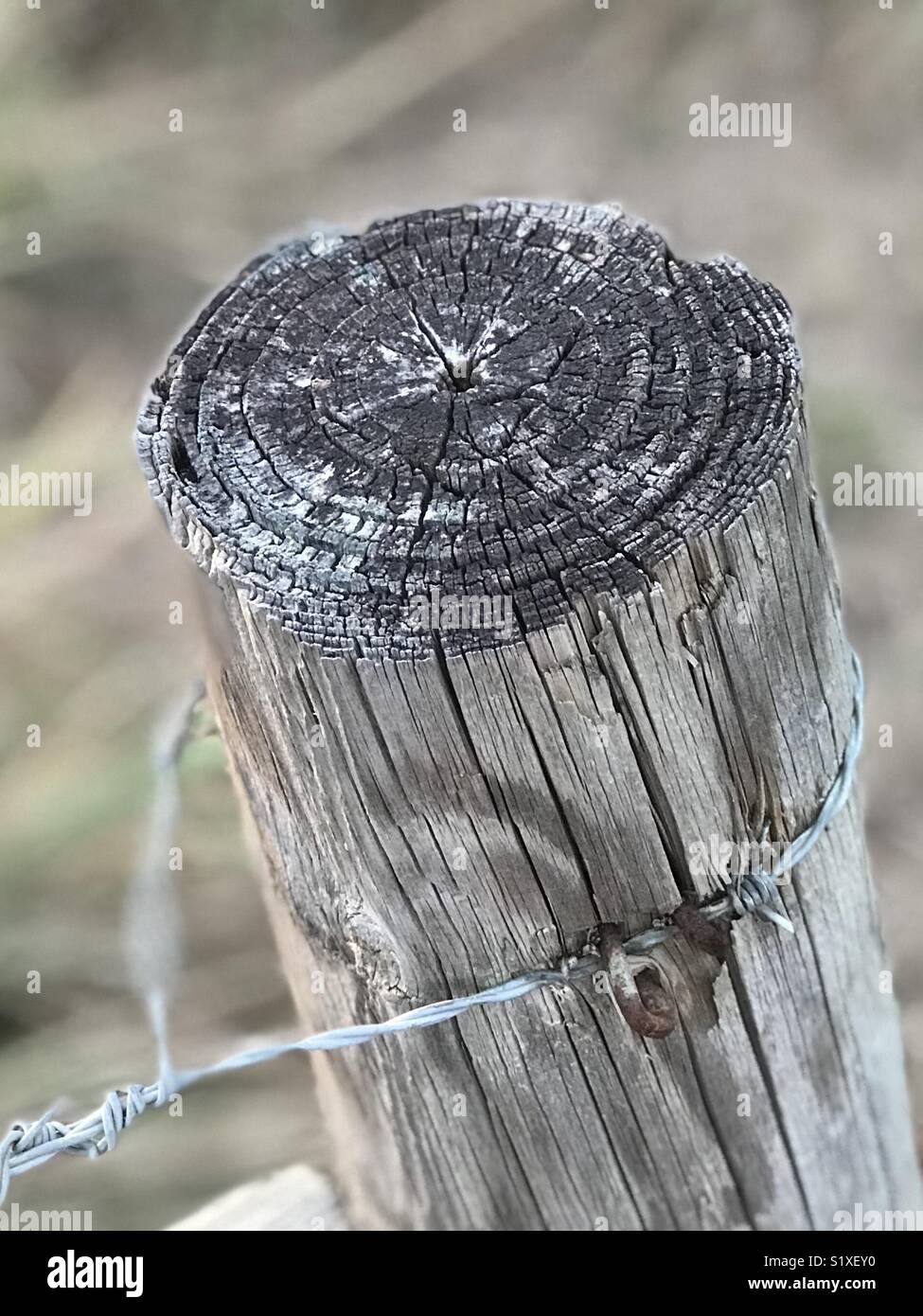 Grey wood fence hi-res stock photography and images - Alamy