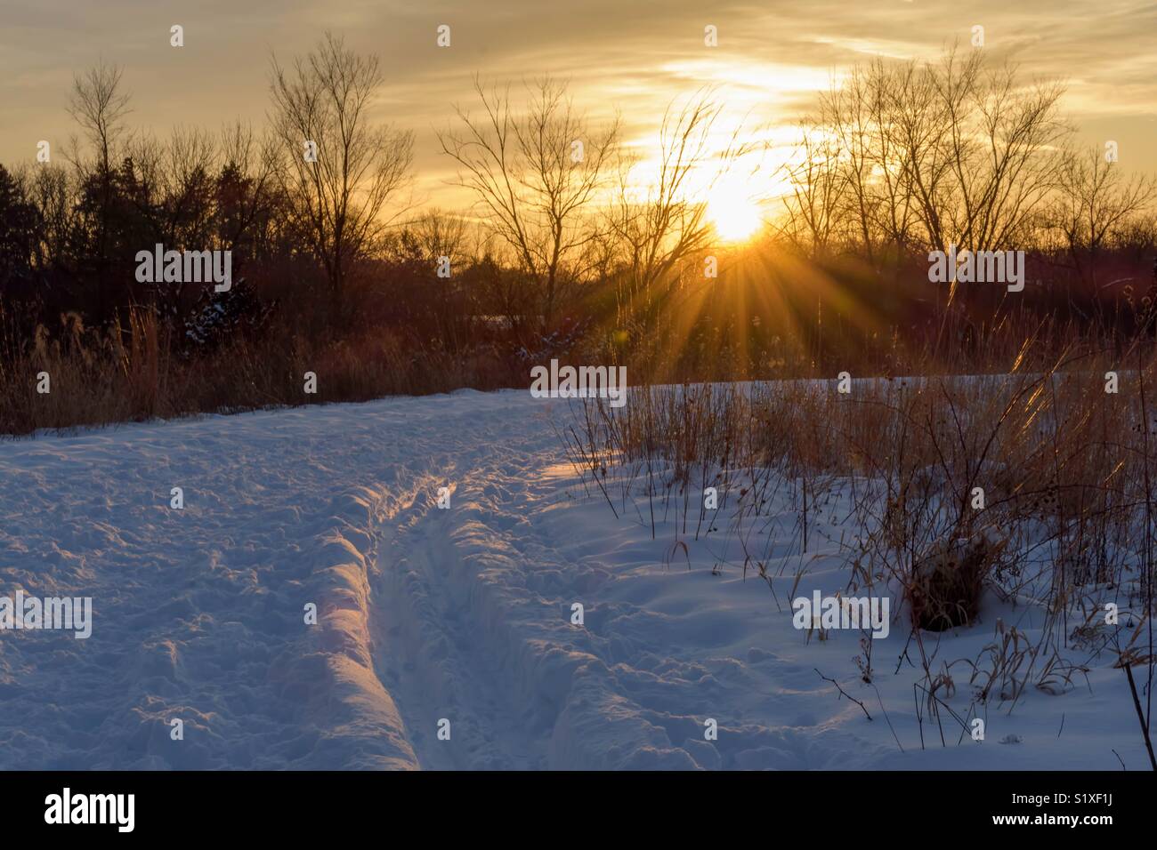 Snow covered trail at golden hour Stock Photo - Alamy
