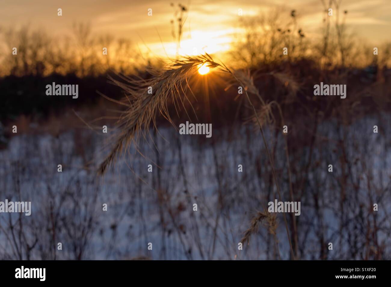 Prairie sky winter hi-res stock photography and images - Alamy